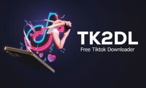 How to Use Tk2dl to Download TikTok Videos?: Step-by-Step Guide ...